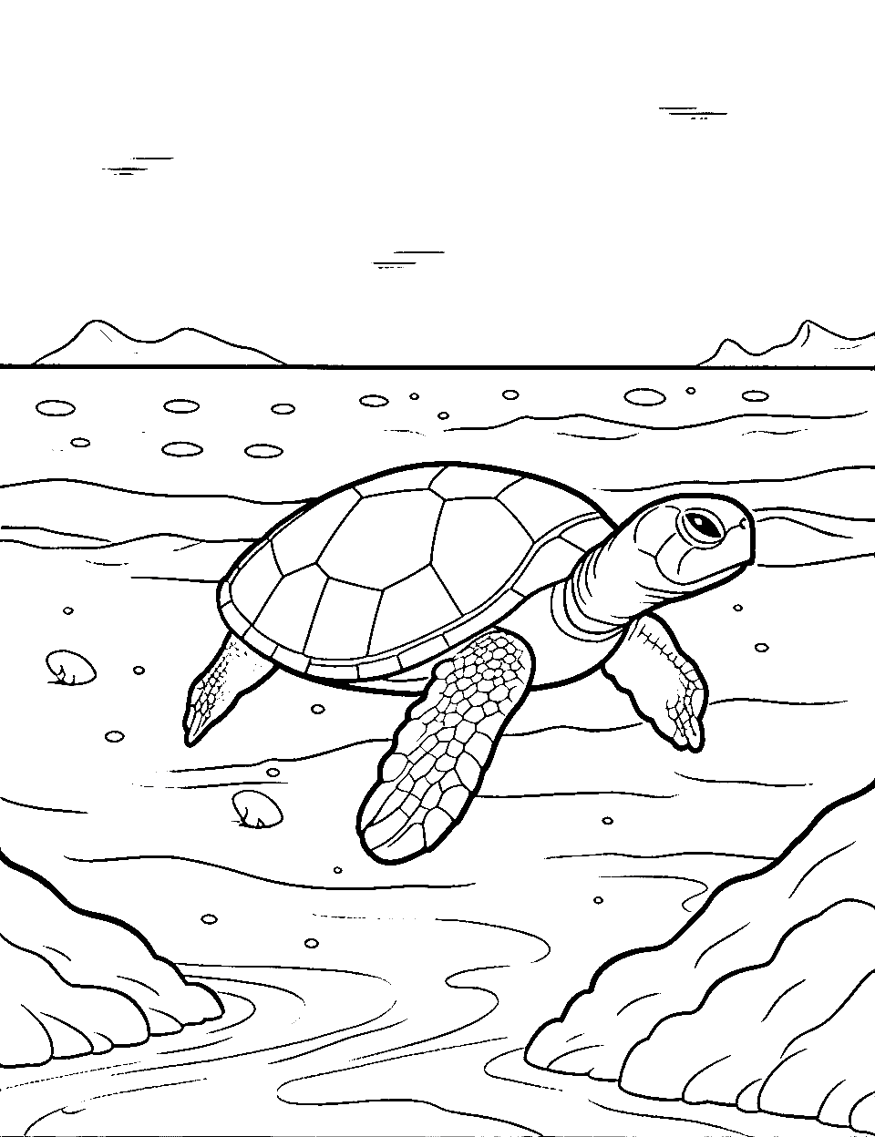 50 Turtle Coloring Pages: Free Printable Sheets